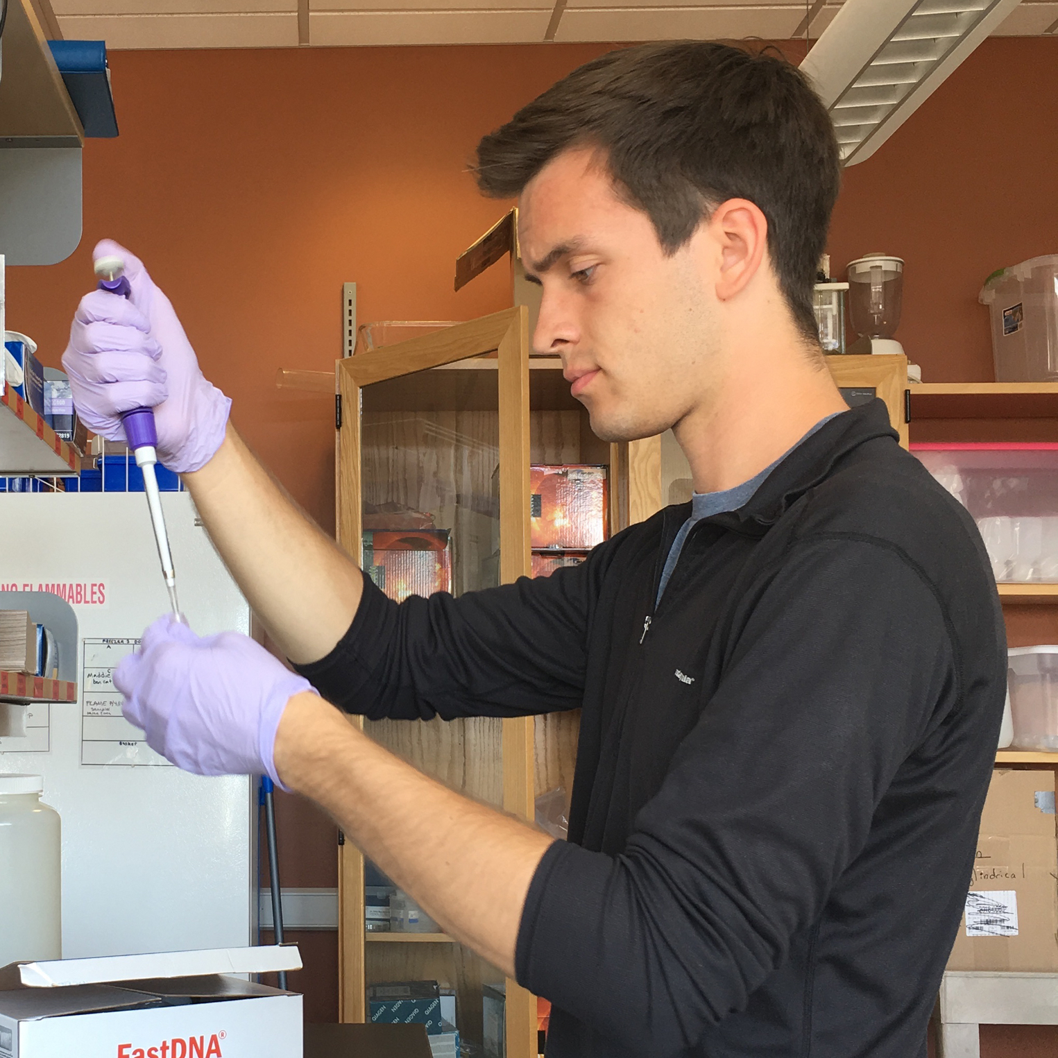 Honors Program – Agricultural & Life Sciences