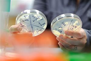 Research Partnerships – Agricultural & Life Sciences