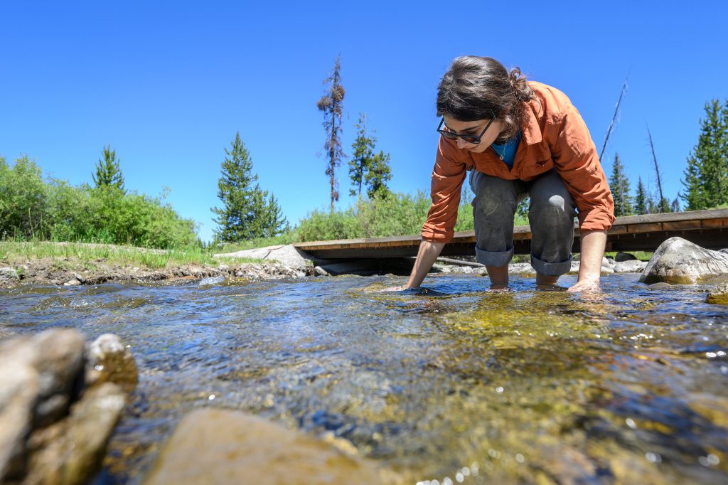 Internships – Agricultural & Life Sciences