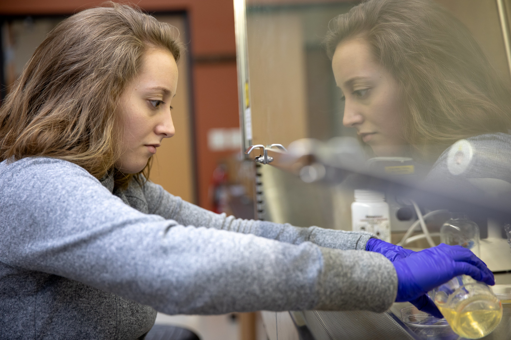 Microbiology Major – Agricultural & Life Sciences