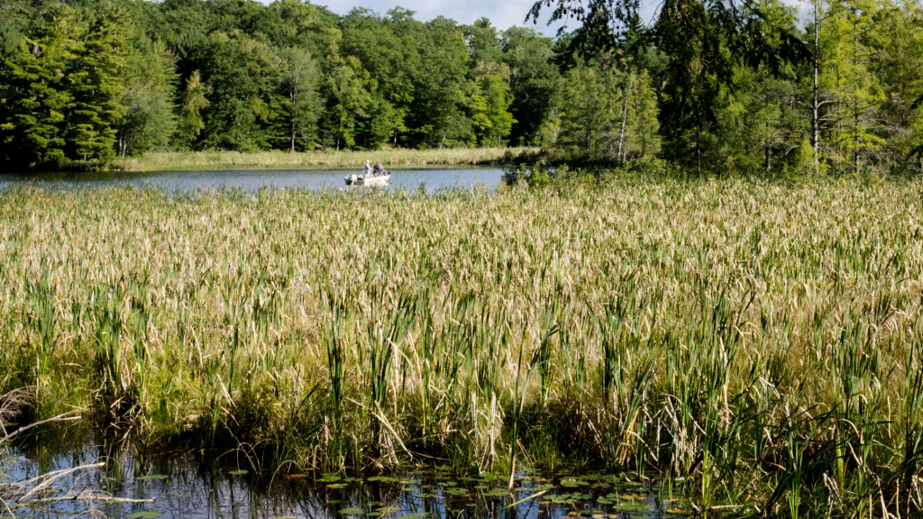 2025 CALS Field Days and Events – Agricultural & Life Sciences