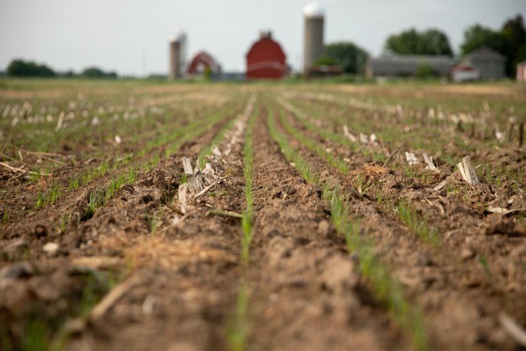 2025 CALS Field Days and Events – Agricultural & Life Sciences